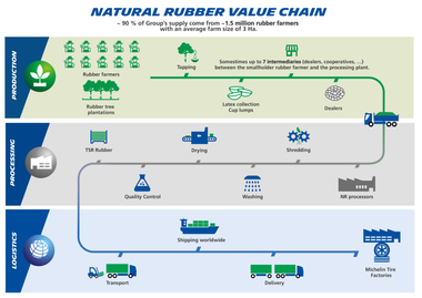 Natural Rubber at a glance | Michelin