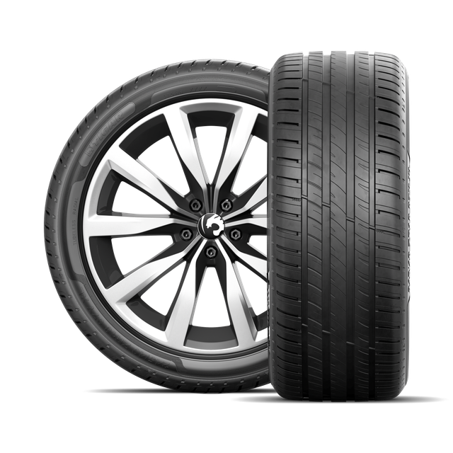 Tigar Summer3 | Tigar