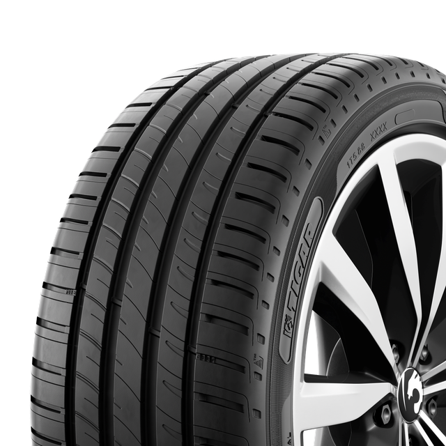 Tigar Summer3 | Tigar