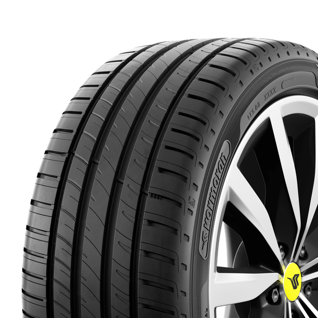 Kormoran Summer3 | Kormoran