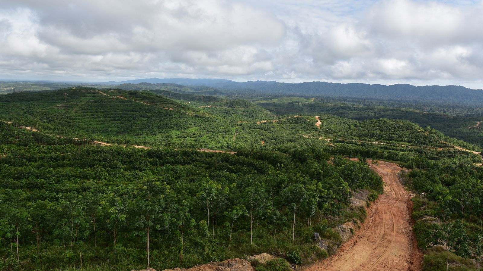 Royal Lestari Utama, natural rubber plant | RLU